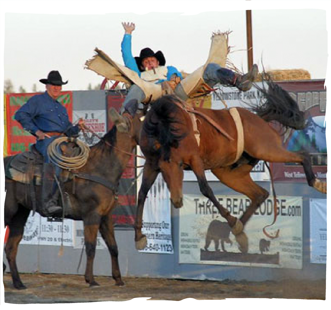 Yellowstone Activities | Three Bear Lodge - West Yellowstone, MT